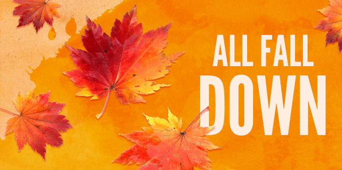 Bright & Bold Fall Floral Designs - Peoples Flowers
