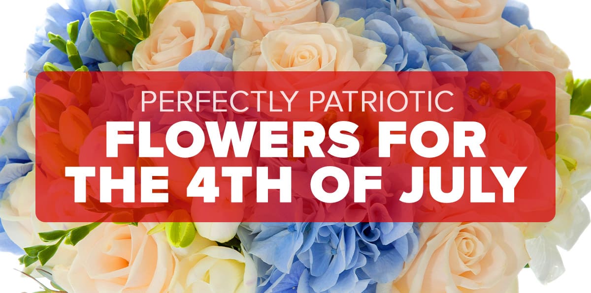 Celebrate Independence Day With These Patriotic Flowers - Peoples Flowers